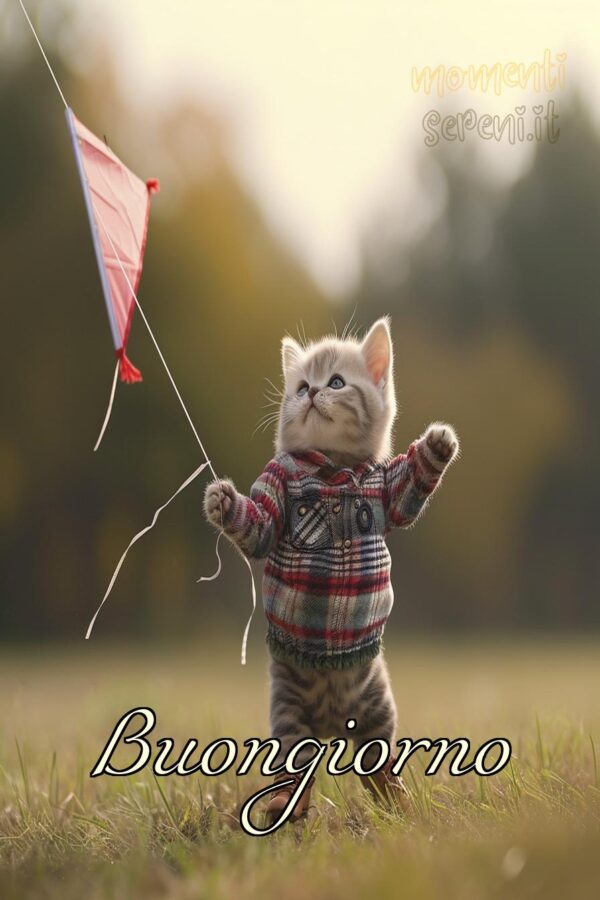 Buonanotte Immagini - Momenti Sereni